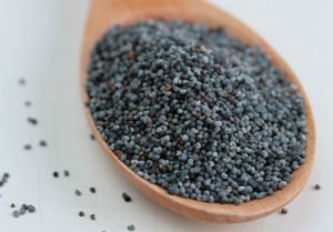 Health Benefits And Uses Of Poppy Seeds - HealthDab